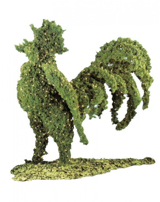 topiary rooster | Barrango, MFG