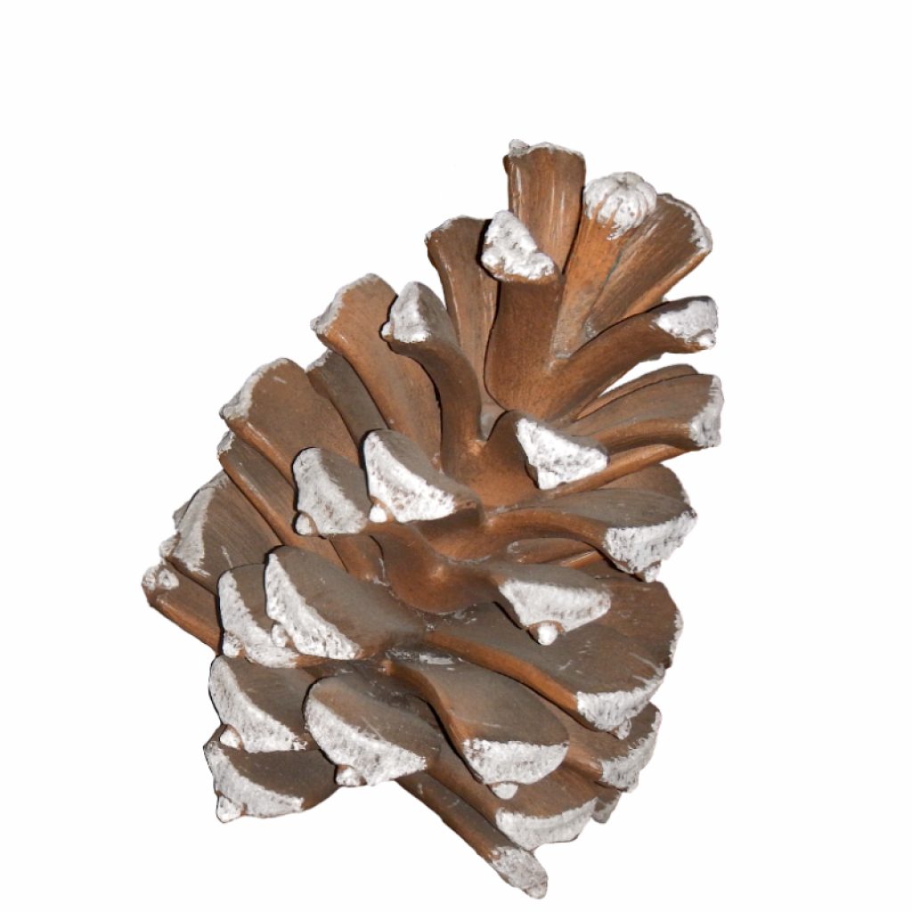 Giant Pine Cones | Giant Plastic Pinecones | Barrango, MFG