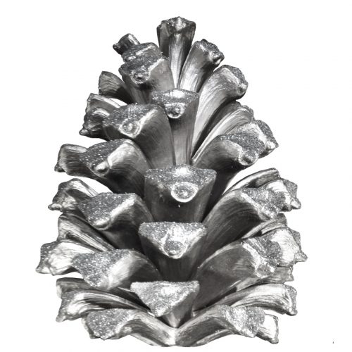 Giant Pine Cones | Giant Plastic Pinecones | Barrango, MFG