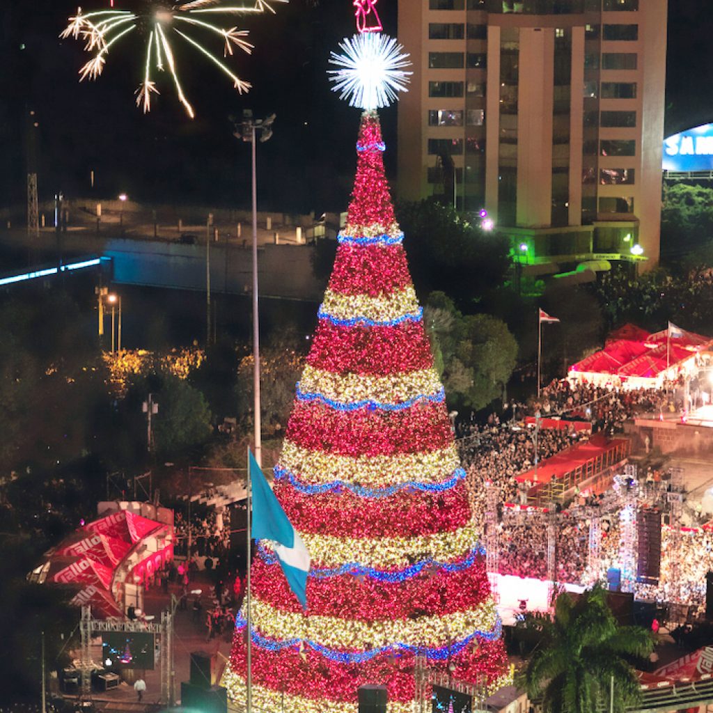 Giant Christmas Trees | Grand Feature Christmas Trees | Barrango, MFG