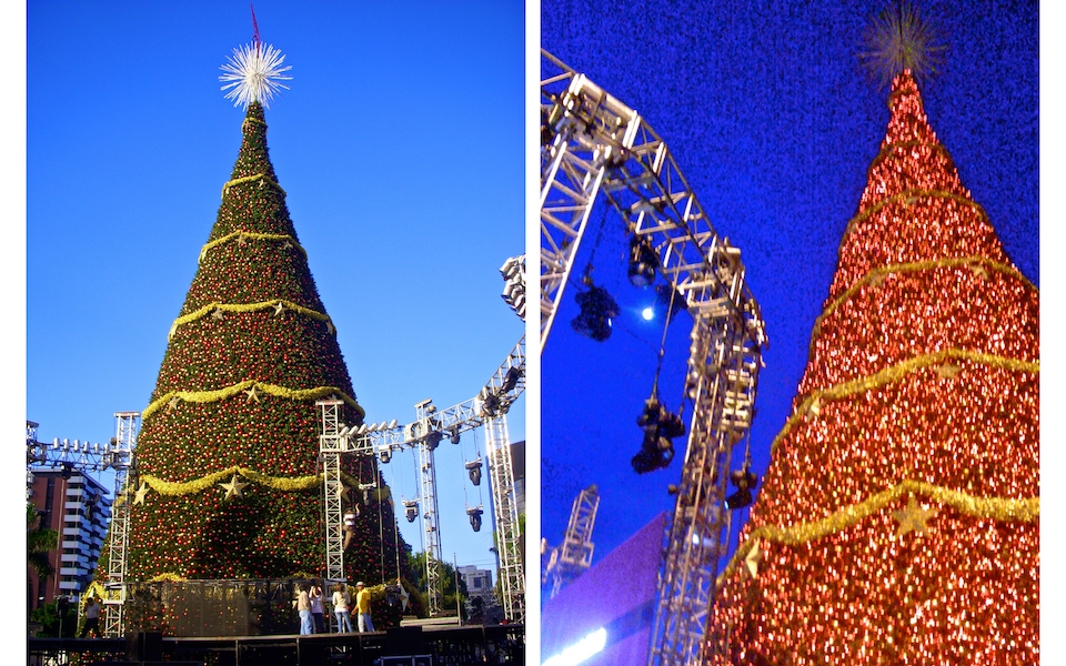 Canadian Pine Christmas Trees | Light Show Trees | Barrango, MFG