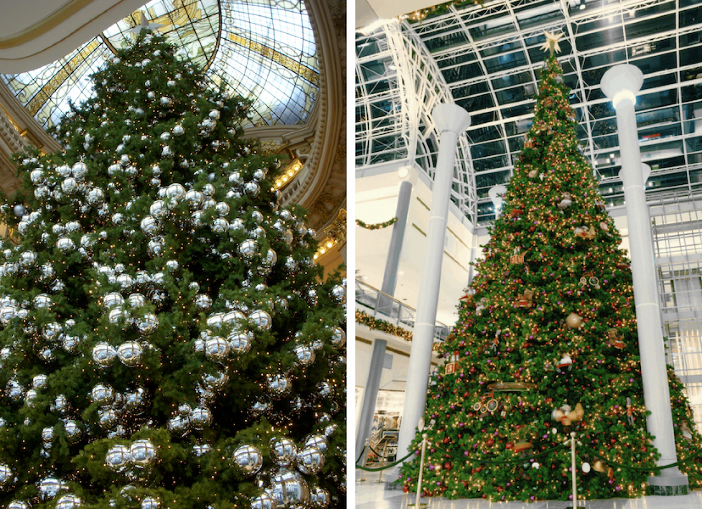 Giant Christmas Trees | Grand Feature Christmas Trees | Barrango, MFG