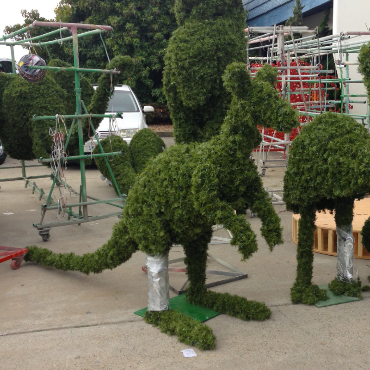 Topiary Animals | Animal Topiary Shapes | Barrango, MFG