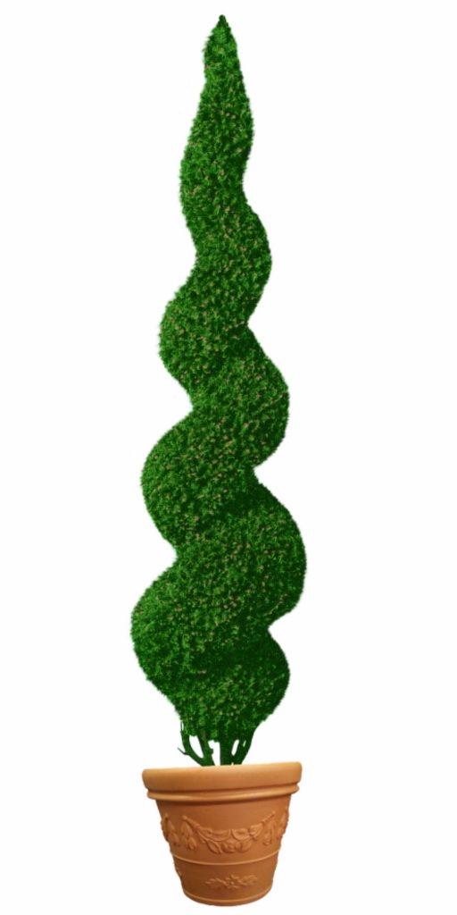 Geometric Topiary Trees | Spiral & Cone Shaped Topiary | Barrango, MFG
